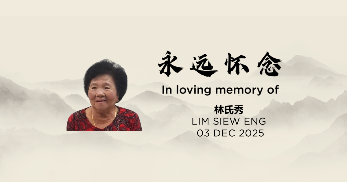 林氏秀 LIM SIEW ENG • Fairy Park